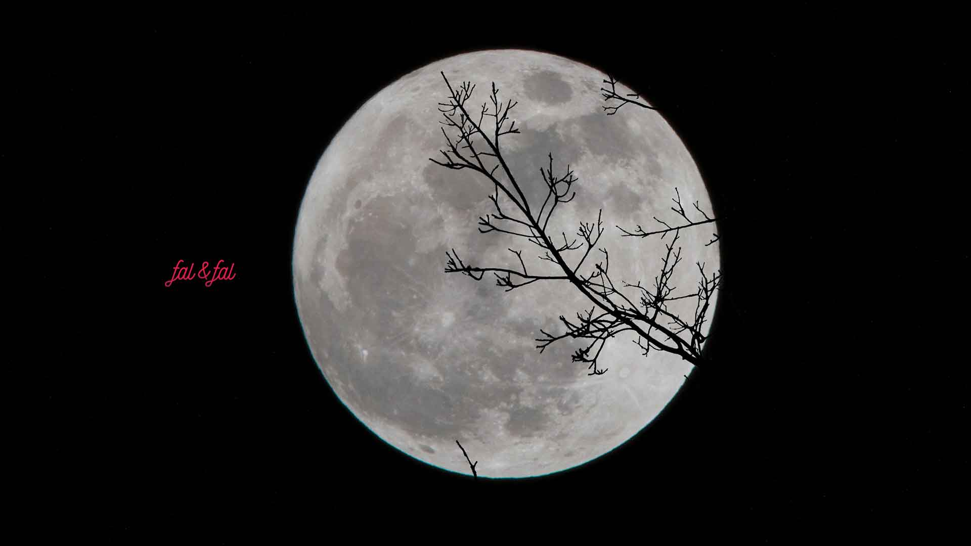 Yeni Ay Nedir? Etkileri Nelerdir?